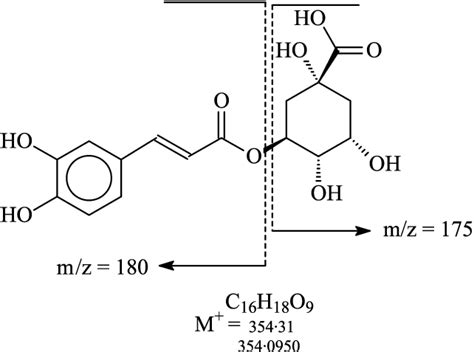 Fragmentation Pattern Of Ca Isolated From C Peltata Download