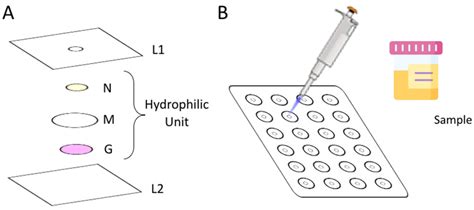 Design And Functionalization Of A µpad For The Enzymatic Determination Of Nitrate In Urine