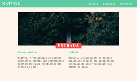 web design ux ui design html css javascript e react courses and