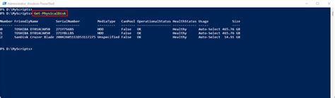 The Powershell Storage Module Initialize Partition Format Check Disk Usage And Resize Disk