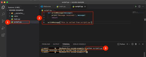 Vscode 35 實戰篇！版面介紹、管理 Python 專案和多個 Py Python 編程．圖表