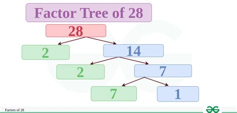 Factors Of 28 Prime Factorization Of 28 Geeksforgeeks