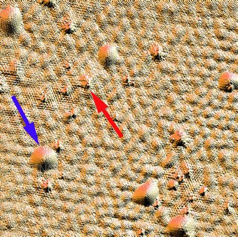 Photograph Graphene Interference Patterns Stm Science Source Images