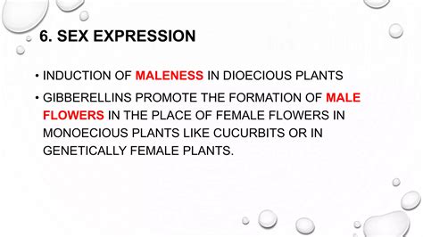 Gibberellins Pptx