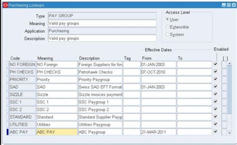 Oracle Certified Applications Specialist Functional What Is Paygroup In Oracle Payables