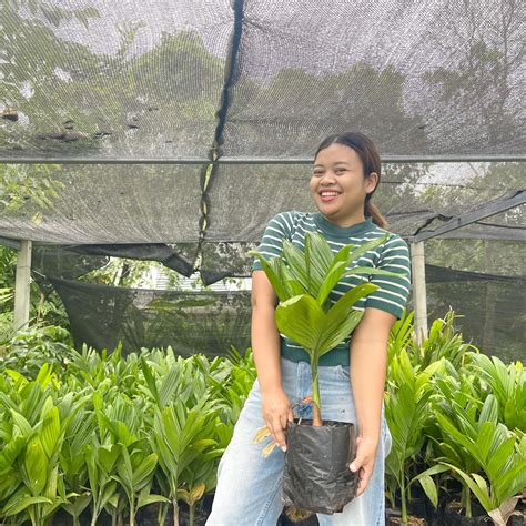 มีกาญจน์ การเกษตร