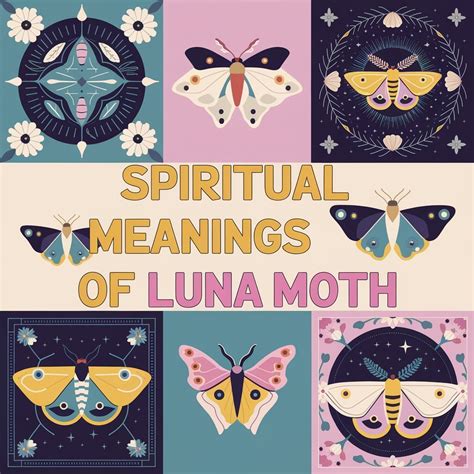 Luna Moth Spiritual Meaning Symbol Of Transformation And Grace