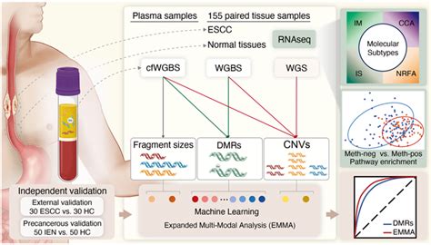 【nature Comms】cfdna多组学超早期识别食管鳞癌和癌前病变 世和基因