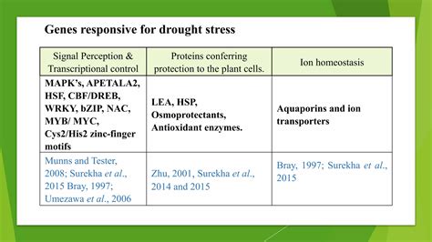Genomic Transcriptomic And Proteomics Approaches To Copypptx