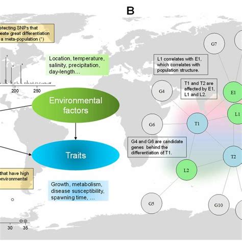 Conceptual Diagram Of The Detection Of Genes Controlling Environmental