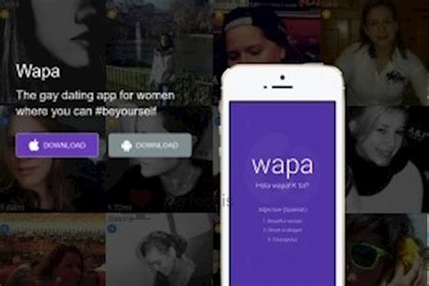 Wapa App Com Review 2025 Perfect Or Scam