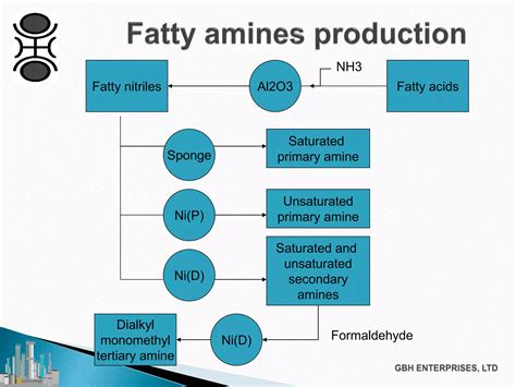 Fatty Amines A Commercial Overview Pdf
