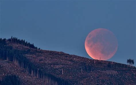 Eclipse Still The Best Ide Dzone Integration