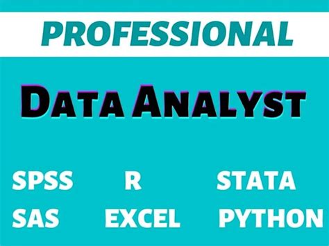 Professionally Conduct Data Analysis With Spss Sass Excel R Or Python By Expertchristal