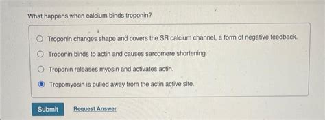 Solved What Happens When Calcium Binds Troponin Troponin