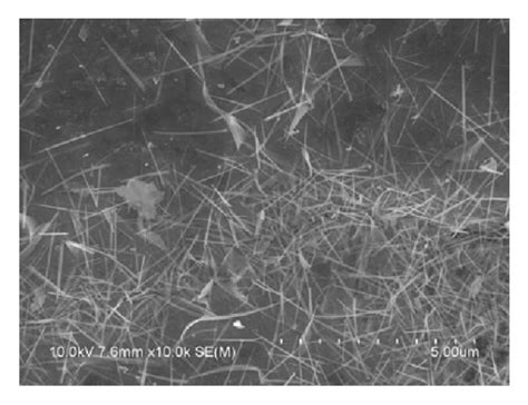 Sem Photographs After Corrosion Test Of 500 H For Specimens Of