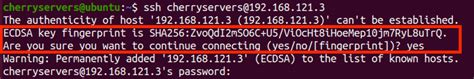 How To Connect To A Remote Server Using Ssh Step By Step Guide Cherry Servers