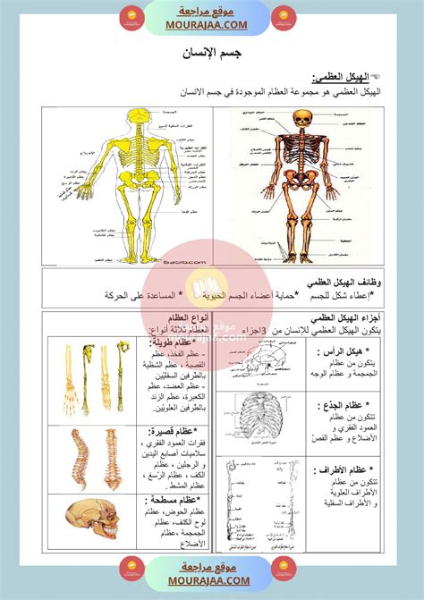 موقع مراجعة الهيكل العضمي و العضلات و المفاصل