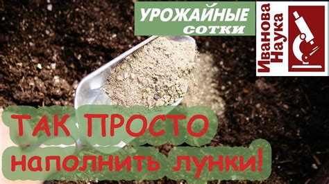 2 самых простых способа наполнить лунку для посадки и правильно ...