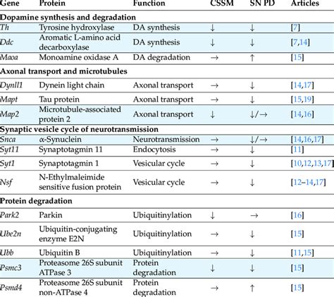 Comparison Of Gene Expression For The Dopaminergic Phenotype Synaptic Download Scientific