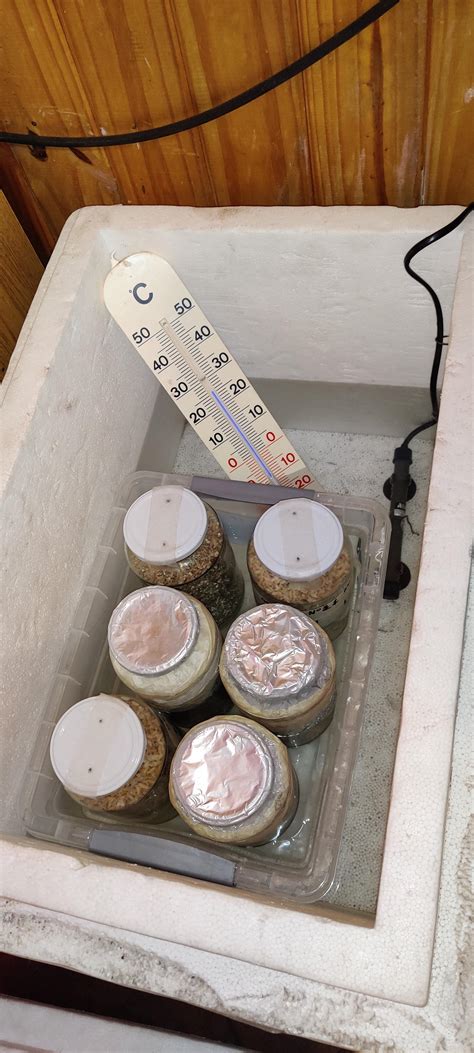 Inoculation Chamber Album On Imgur