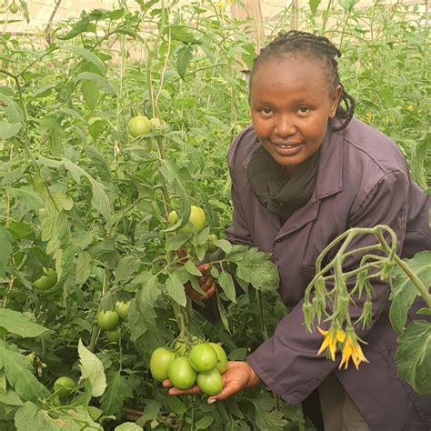 gathoni mwaniki on linkedin how do you know you need a solid pest management plan when you