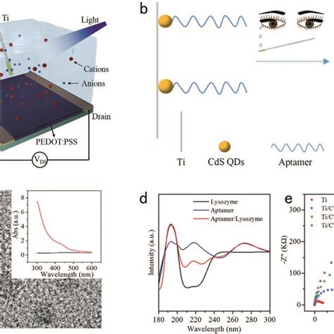 A Schematic Of The Proposed Biosensor B Schematic Illustration Of