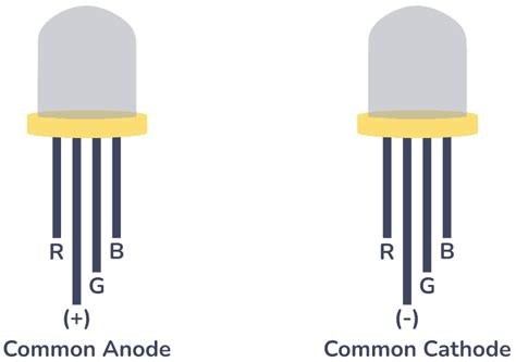 A Simple Guide To RGB LEDs