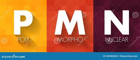 Neutrophil Polymorphonuclear Pmn White Blood Cells With