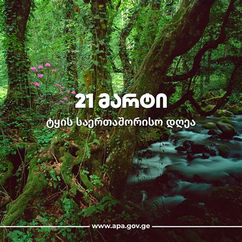 დაცული ტერიტორიების სააგენტო Agency Of Protected Areas Georgia 🌳 21 მარტი ტყის