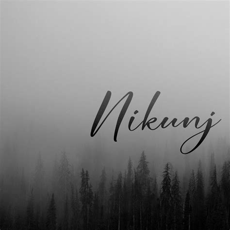 Nikunj Pansuriya Youtube