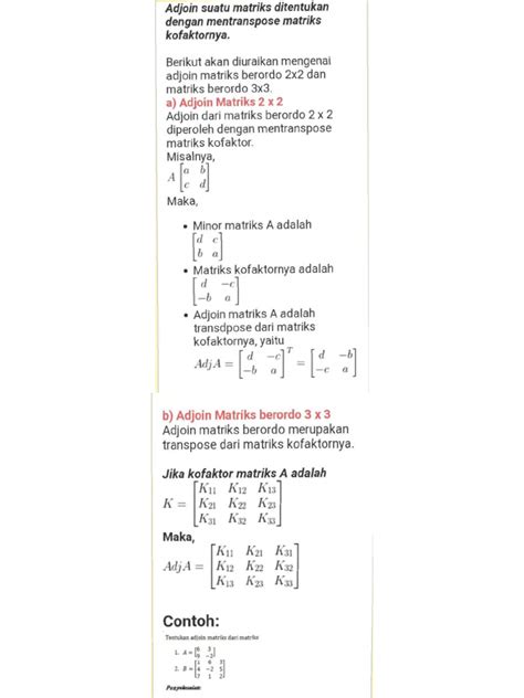 Adjoint Matrix Pdf