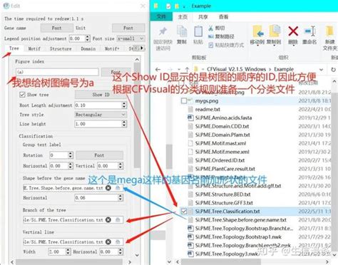 零代码 超级实用绘制基因家族结构图进化树组合图 知乎 零代码 超级实用绘制基因家族结构图进化树组合图 知乎