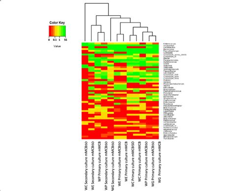 heatmap based on mean relative abundances of major genera across