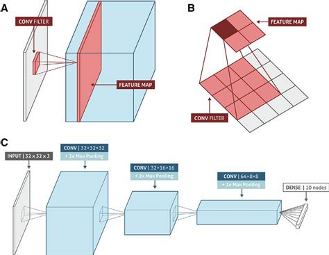 A Basic Cnn Architecture Used For Image Classification A And B