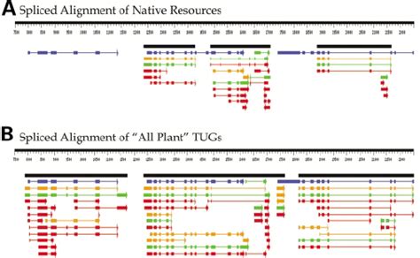 Large Scale Annotation By Spliced Alignment A And B Show The