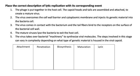 Solved Place The Correct Description Of Lytic Replication