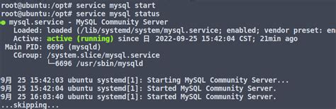 ubuntu 安装 mysql ubuntu安装mysql csdn博客