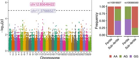 Genome Wide Association Analysis Of Fertility In Beef And Dairy Download Scientific Diagram