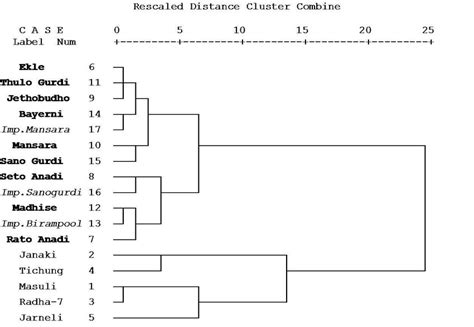 a dendrogram showing the hierarchy of perceived vulnerability to