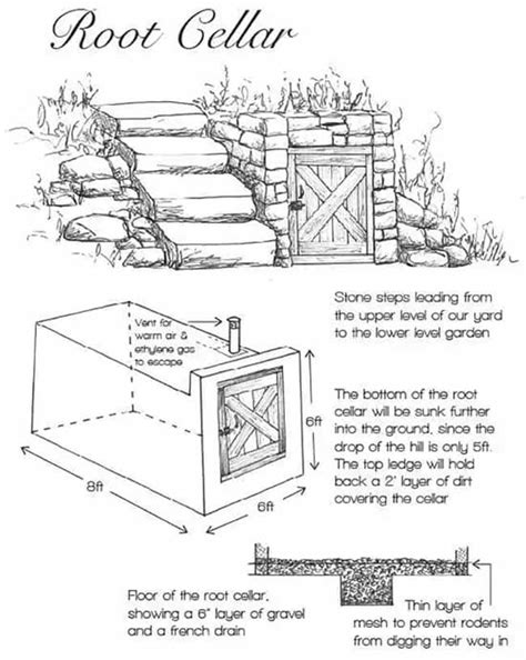 Underground Root Cellar Design