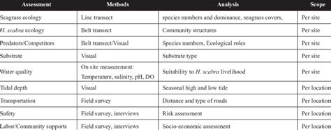 Sub Criteria Assessment Conducted On Optionslocations Download