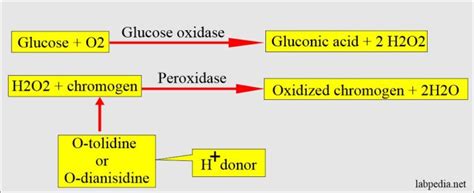 Stool Examination Part 4 Reducing Substances Breath Test And