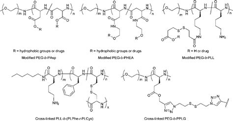 Chemical Structures Of Amphiphilic Peg B Polypeptide Copolymers For The Download Scientific