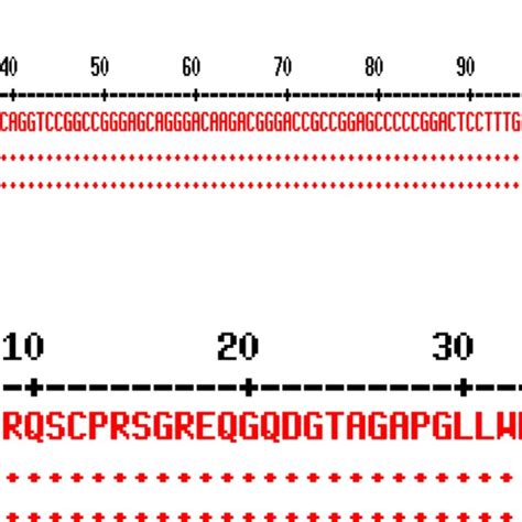 Partial Dna Sequence Alignment Of Exon 1 Showing T C Mutation In The Download Scientific