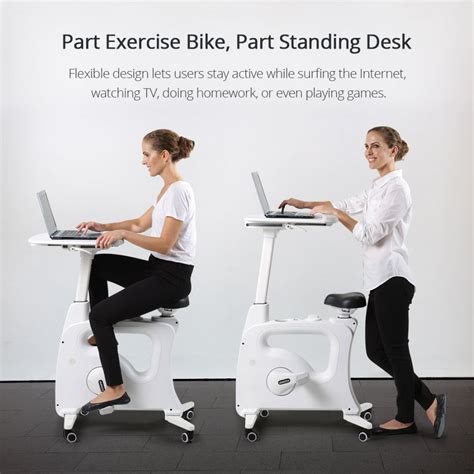 Flexispot Promax V9 All In One Ergonomic Desk Bike