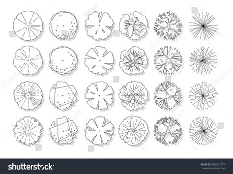 Vector Set Top View Tree Isolated Stock Vector Royalty Free Shutterstock