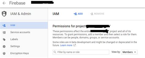 team work with same firebase account stack overflow