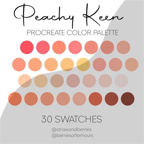 Peach Palette Procreate Color Palette Procreate Palette Etsy