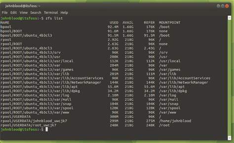 在 Ubuntu 1910 上入门 Zfs 文件系统 Linuxstory